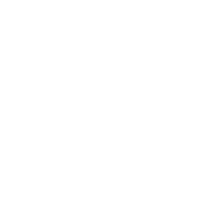 Digital Transformation - Services - PNP Digital